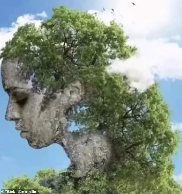 optical-illusion-reveals-if-you-re-a-stickler-for-the-rules-or-have-low