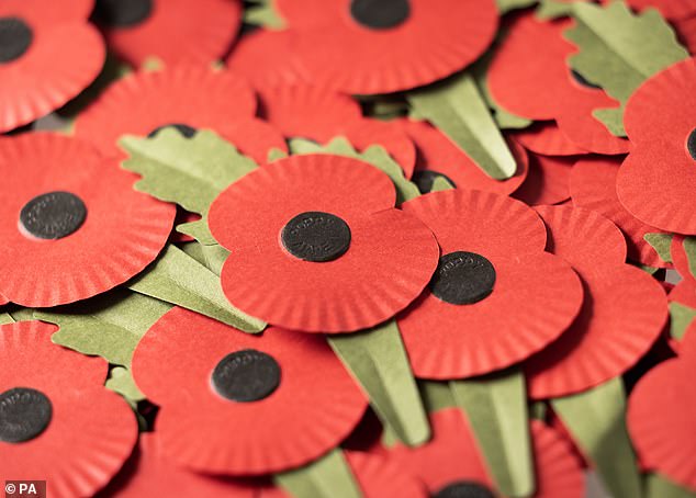 One in two adults will wear a poppy to commemorate Remembrance Day ...